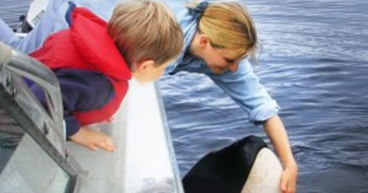 The Whale | Netflix - Top 200 Documentaries - Copy