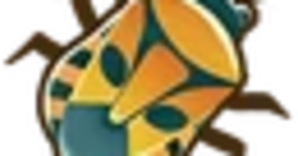 Man-faced Stink Bug | Coral Island Insect Checklist