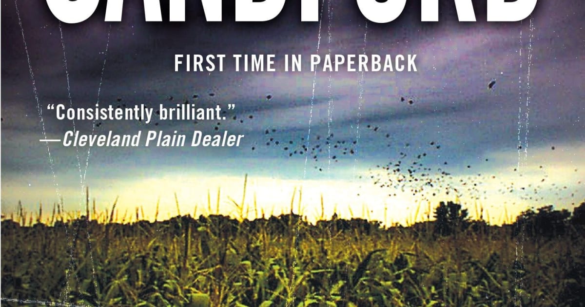 Field of Prey | Lucas Davenport Books in Order