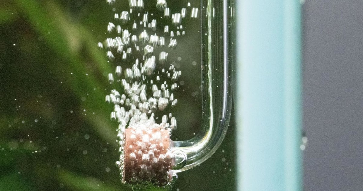 Aquario Neo Nano CO2 Diffuser | The Best CO2 Diffusers!