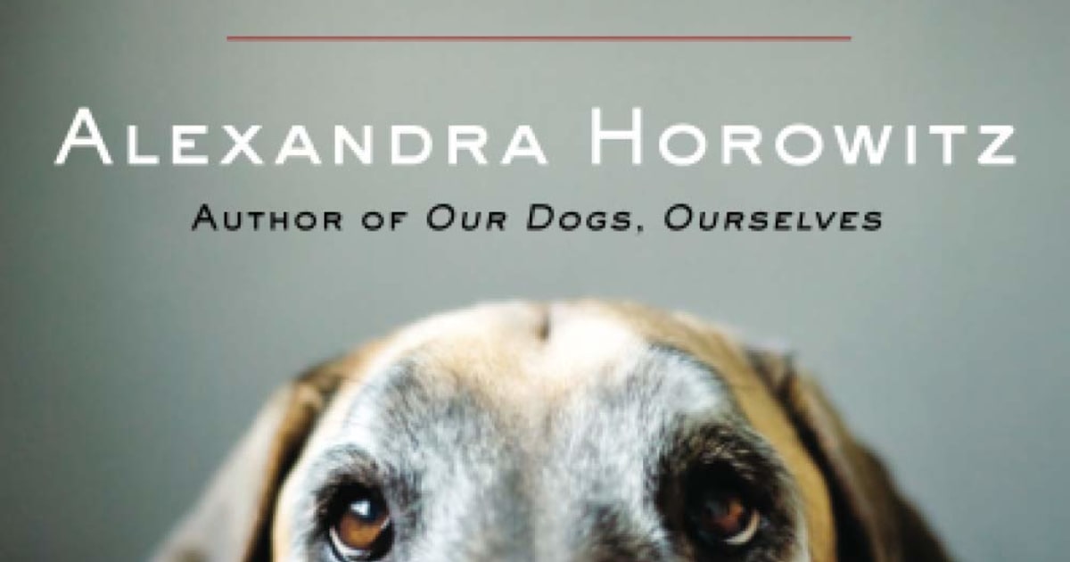 Inside of a Dog: What Dogs See, Smell, and Know | The 30 Best Books For ...