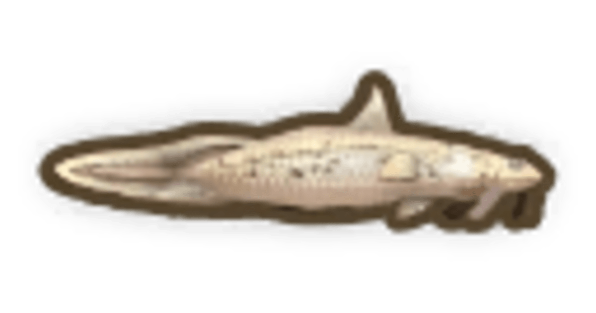 Eel Tailed Catfish | Dinkum - Fish, Critter, and Bug List