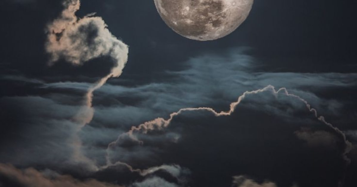 Largemouth Bass | Night Fall Farm Fishing List