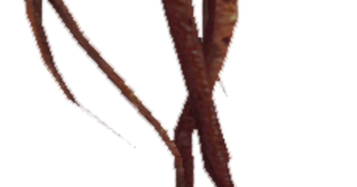 Ash Creep Cluster | Skyrim Alchemy Ingredients