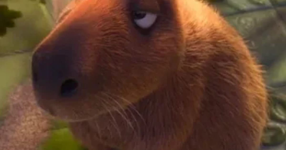 Chispi | Every Character in Disney's "Encanto"