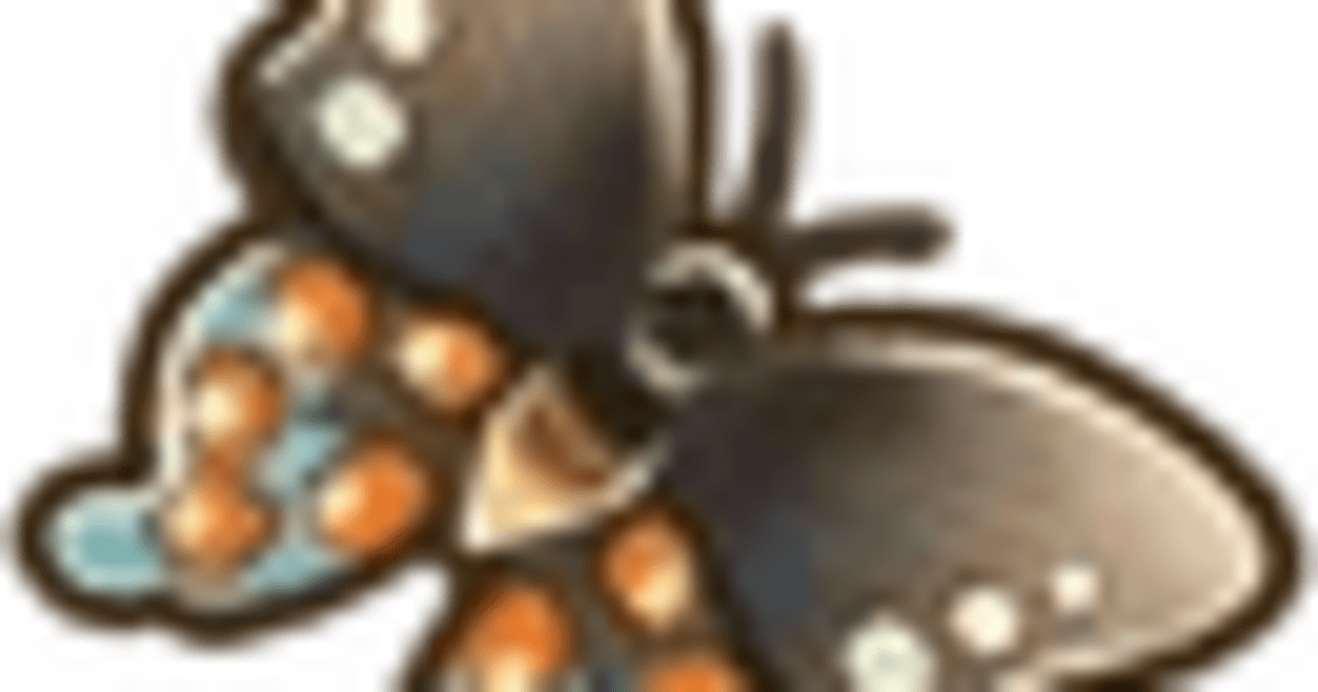 Pipevine Swallowtail Butterfly | Coral Island Insect Checklist