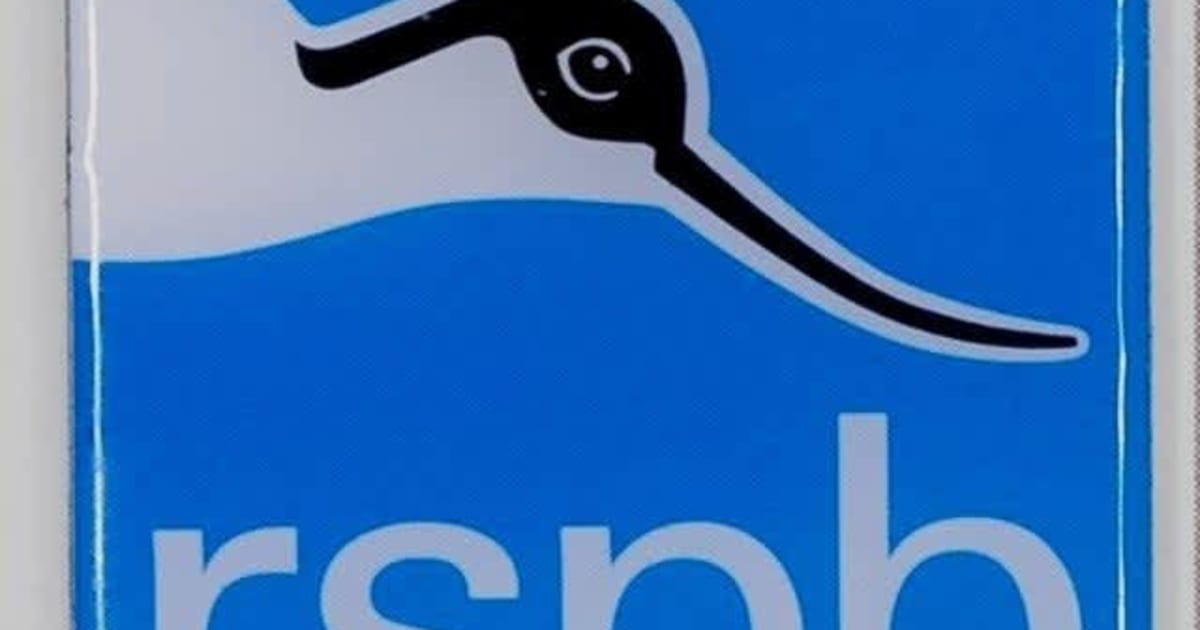 RSPB Badges by @brianc1