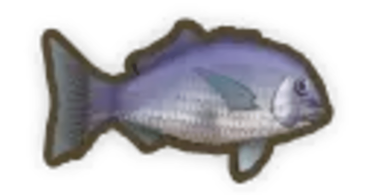 Trevalla | Dinkum - Fish, Critter, and Bug List