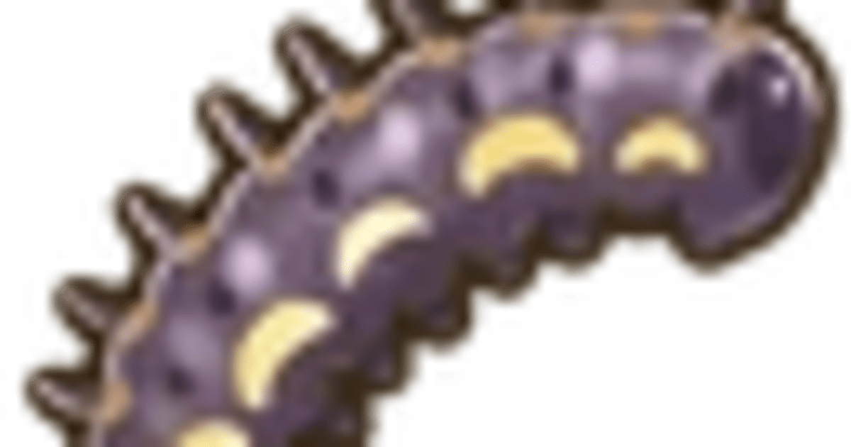 Red Admiral | Coral Island Insect Checklist