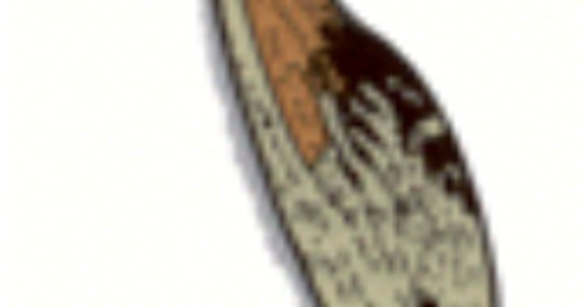 Bittern 2 | RSPB Badges