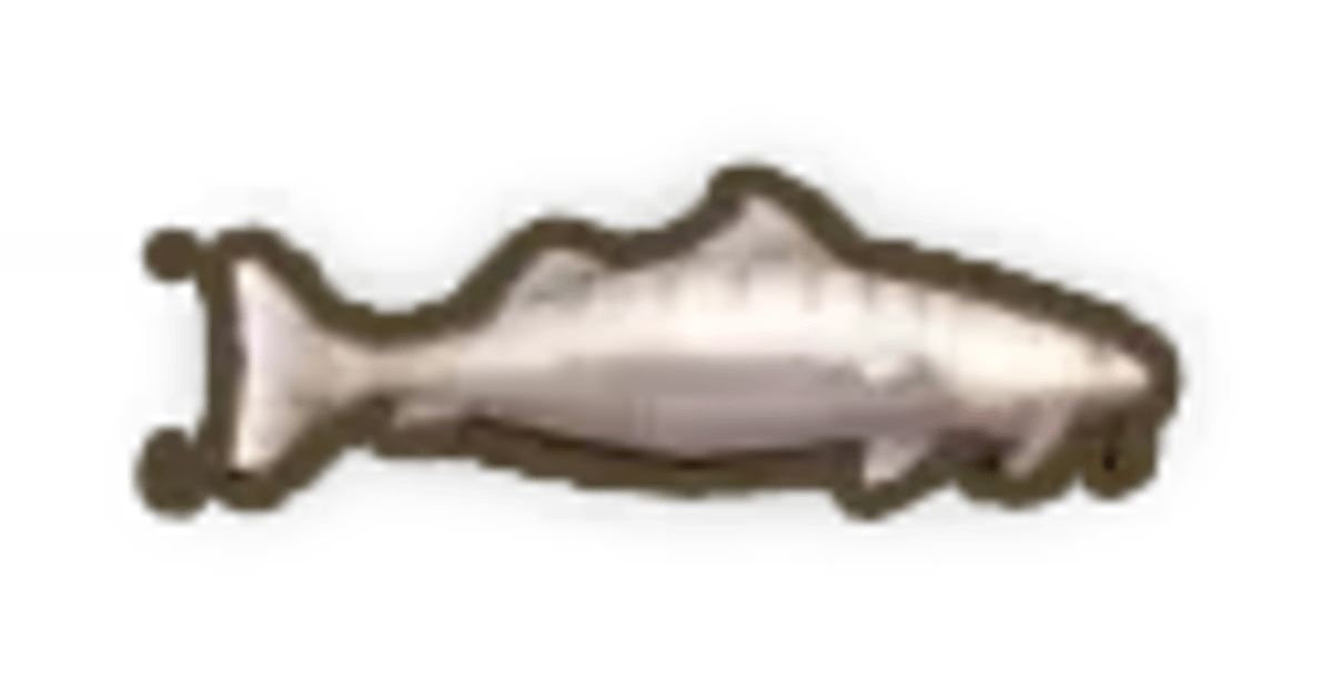 Boofhead Catfish | Dinkum Pedia