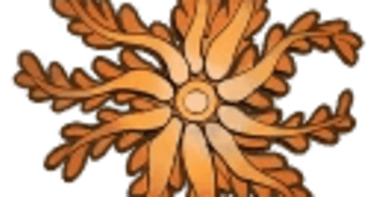 Brisingida Starfish | Coral Island - Fish, Insects, Ocean Critters ...