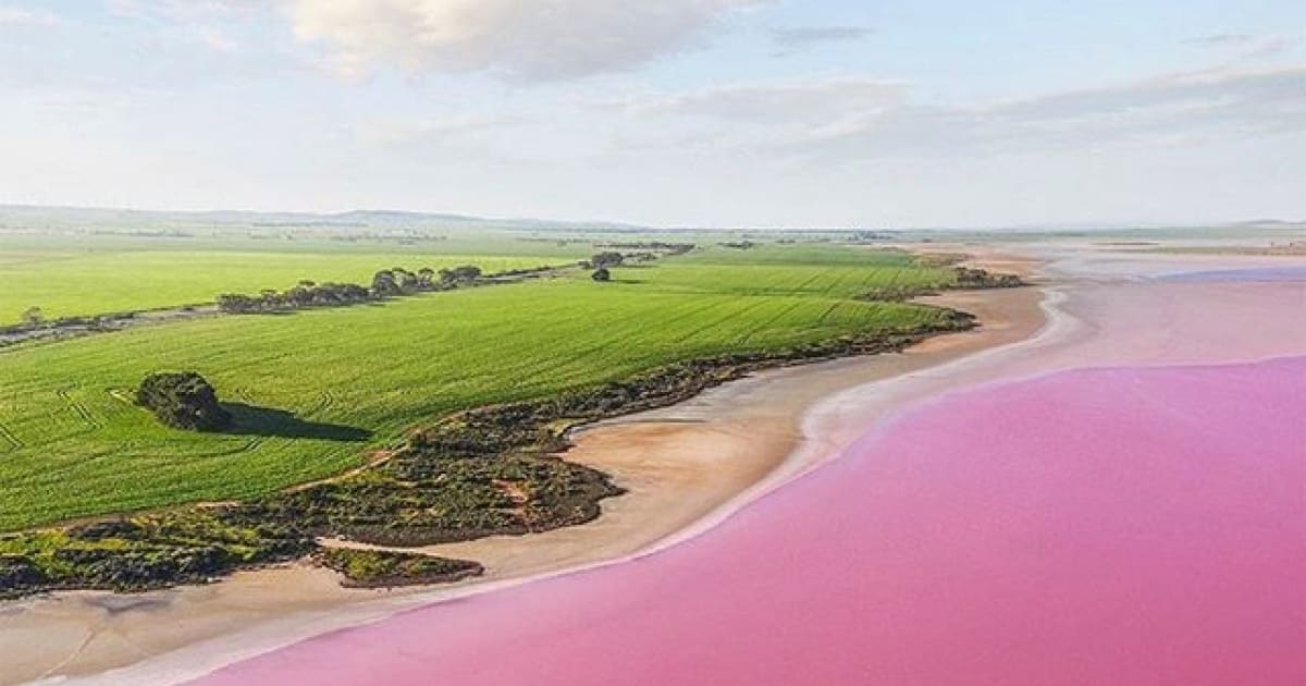 Lake Bumbunga | Australia's Most Popular Pink Lakes