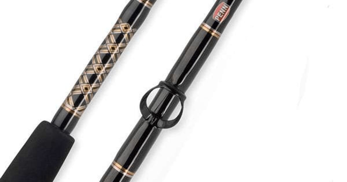 Penn International VI Series Deep Sea Rod | Best Fishing Rods for Deep ...