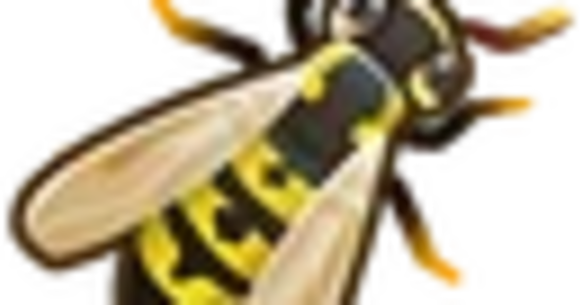 Wasp | Coral Island Insect Checklist