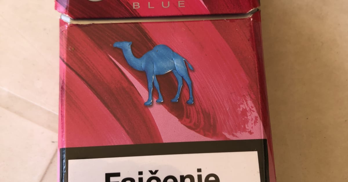 Blue Color Edition Pink | Camels🐪