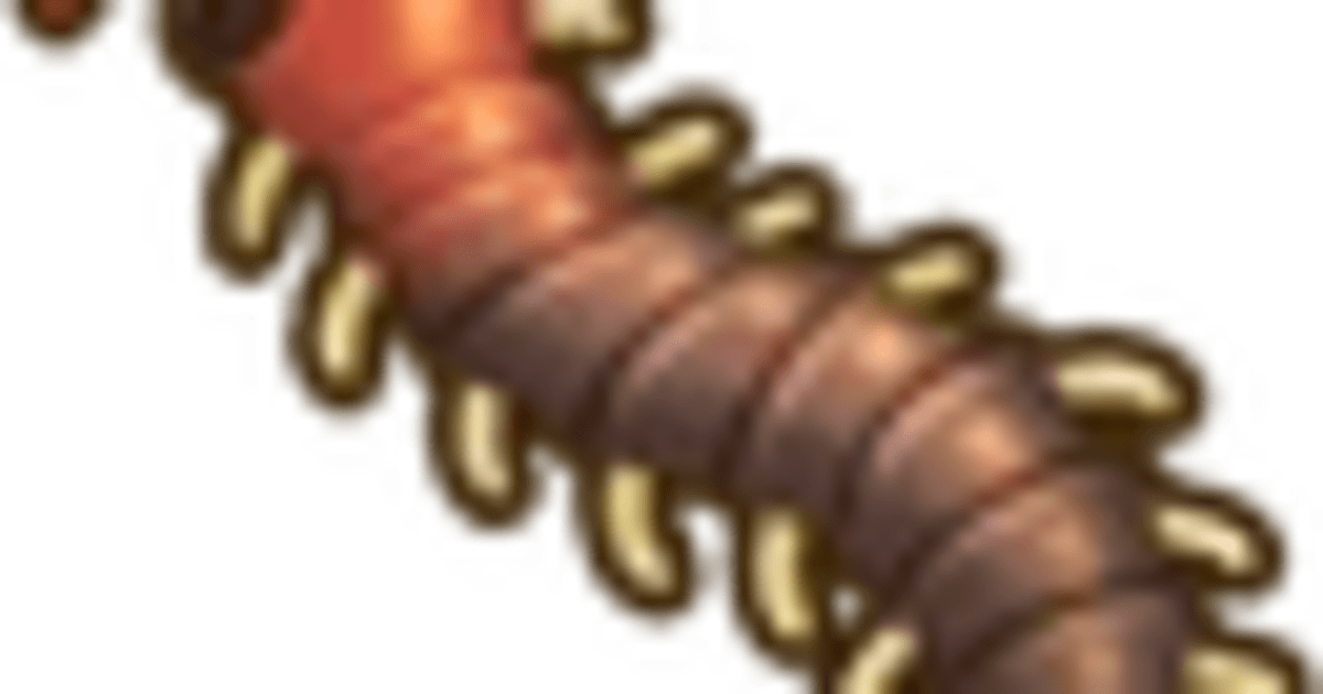 Centipede | Coral Island Insect Checklist