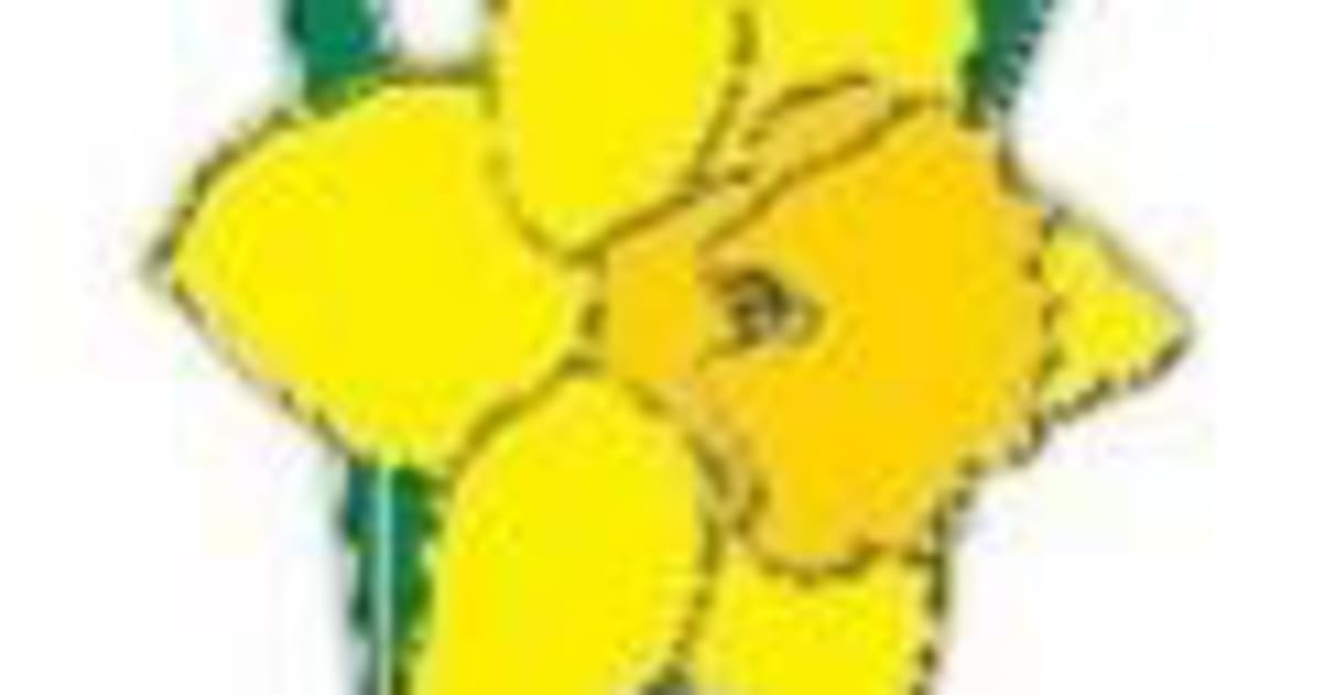 Daffodil 1 | RSPB Badges