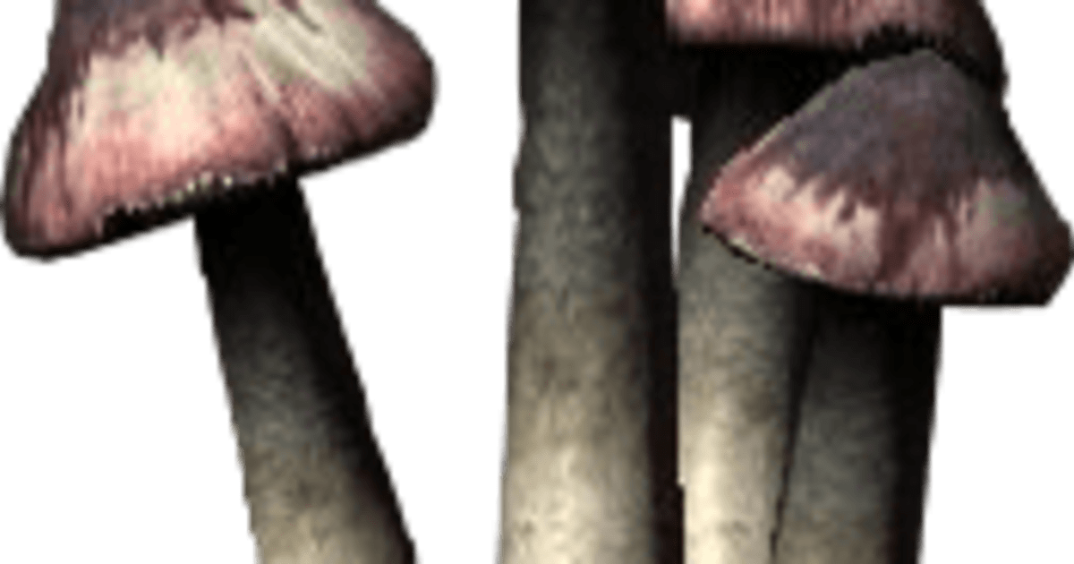 Bleeding Crown | Skyrim Alchemy Ingredients