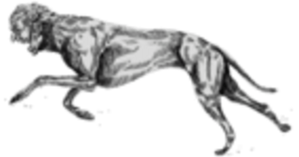 Greyhound | Hunt: Showdown - All Traits List