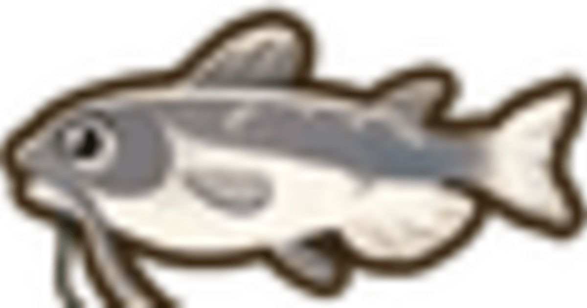 Catfish | Coral Island Fish Checklist - 1.2 Blank