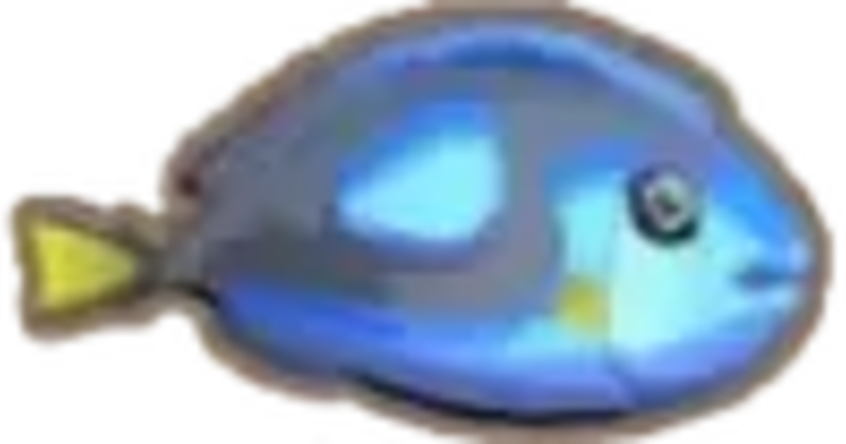 Blue Tang | Dinkum - Fish, Critter, and Bug List