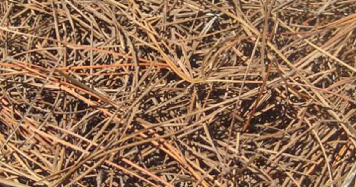 Tinder | How to Create a Campfire