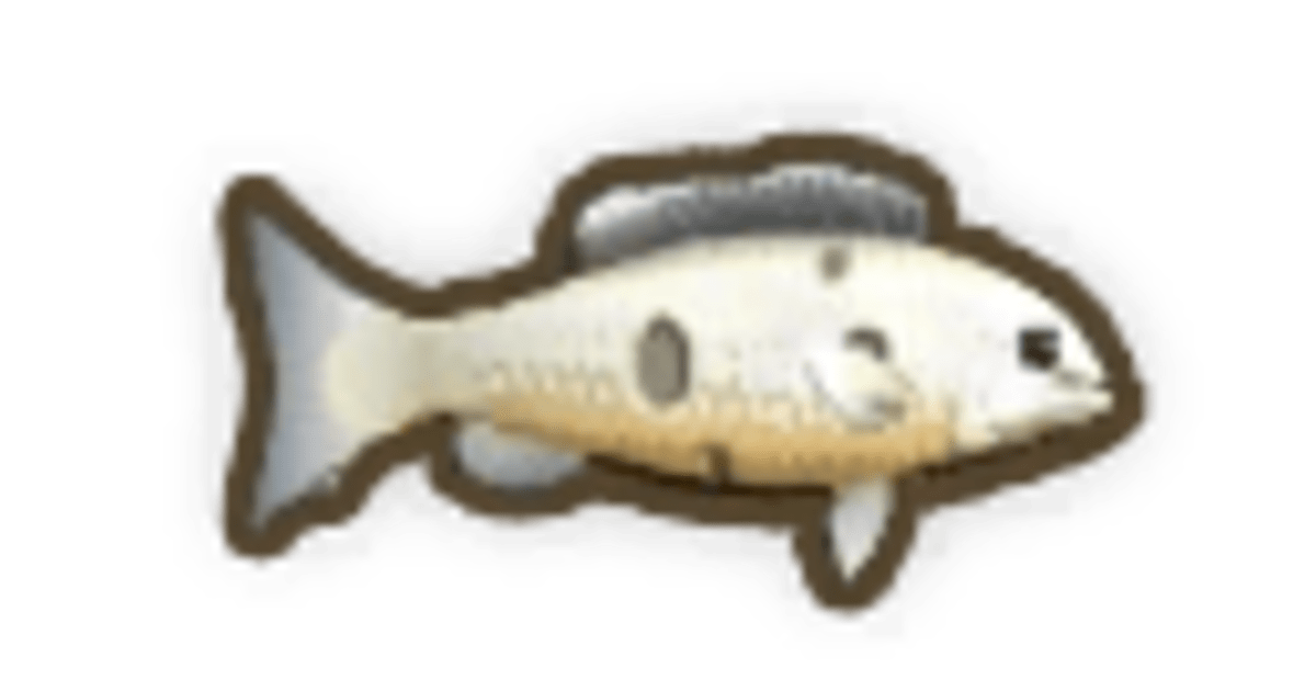 Barcoo Grunter | Dinkum - Fish, Critter, and Bug List