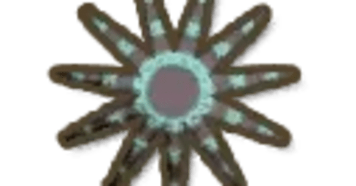 Eleven-armed Sea Star | Dinkum Pedia