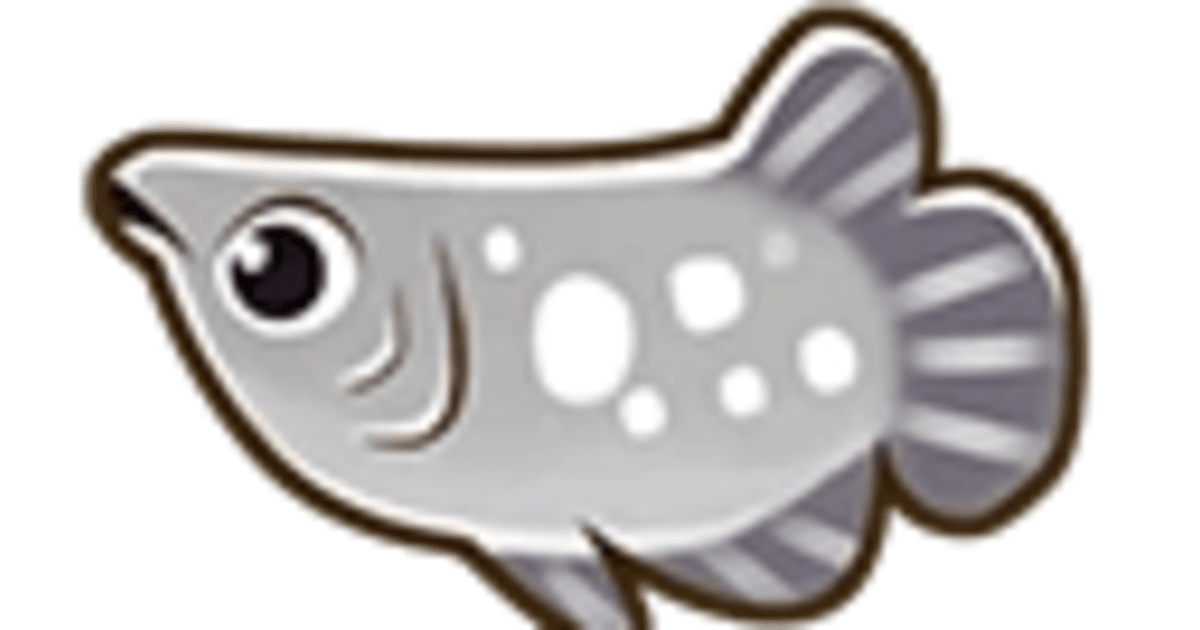 Silver Arowana | Coral Island - Goddess Bundles