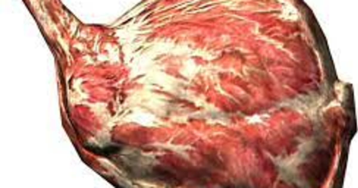 Human Flesh | Skyrim Alchemy Ingredients