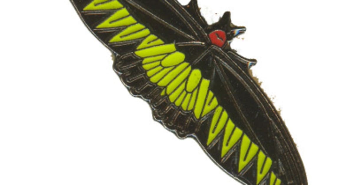 Rajah Brooke's Birdwing Butterfly | RSPB Badges