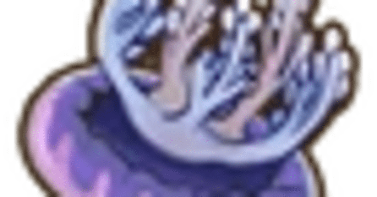 Upside-down Jellyfish | Coral Island Diving Critters Guide