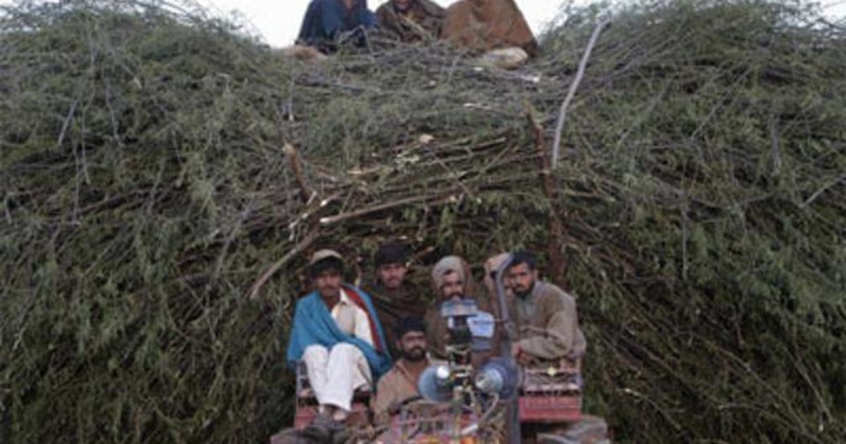 Multi Utility Vehicle (MUV) | Types of Cars