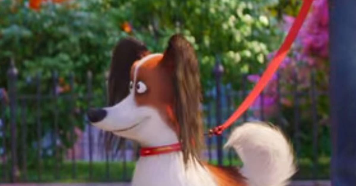 Papillon | The Complete List of Secret Life of Pets Characters