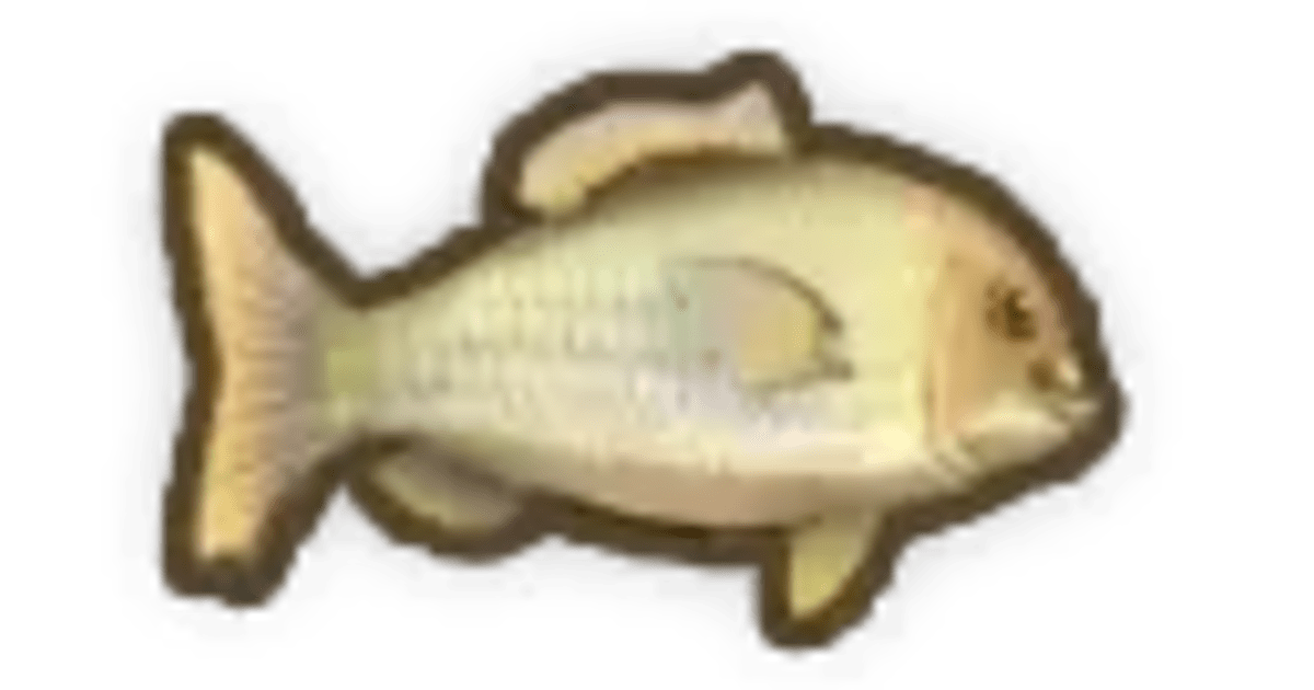 Carp | Dinkum - Fish, Critter, and Bug List