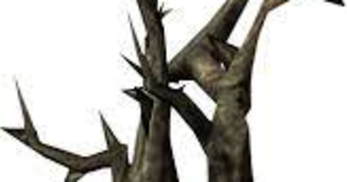 Canis Root | Skyrim Alchemy Ingredients