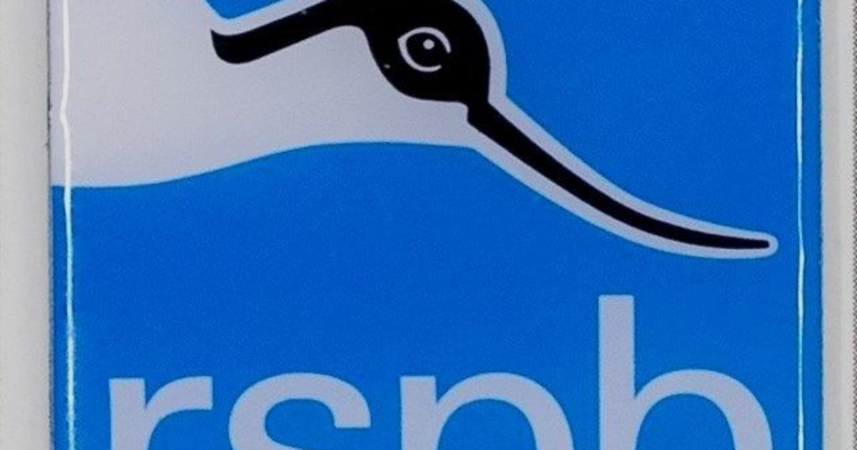 RSPB Logo Lapel | RSPB Badges