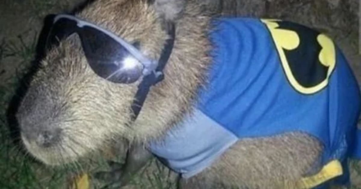 Fire Aspect | Minecraft Enchantments Checklist (Free to copy and use ...