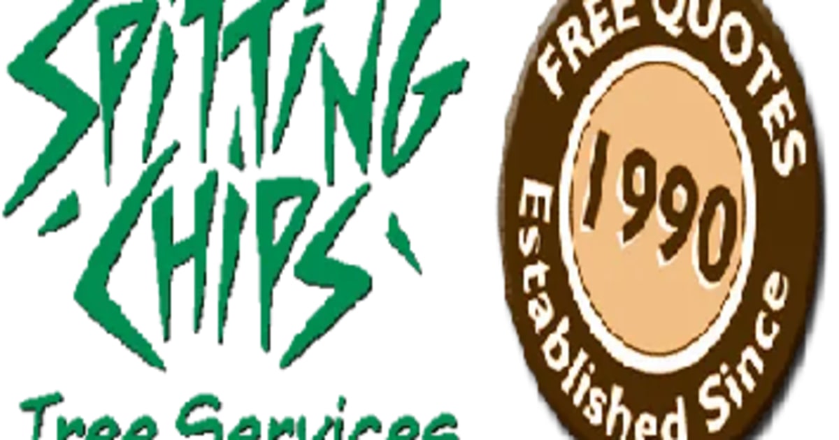 Spitting Chips by @spittingchipscanberra