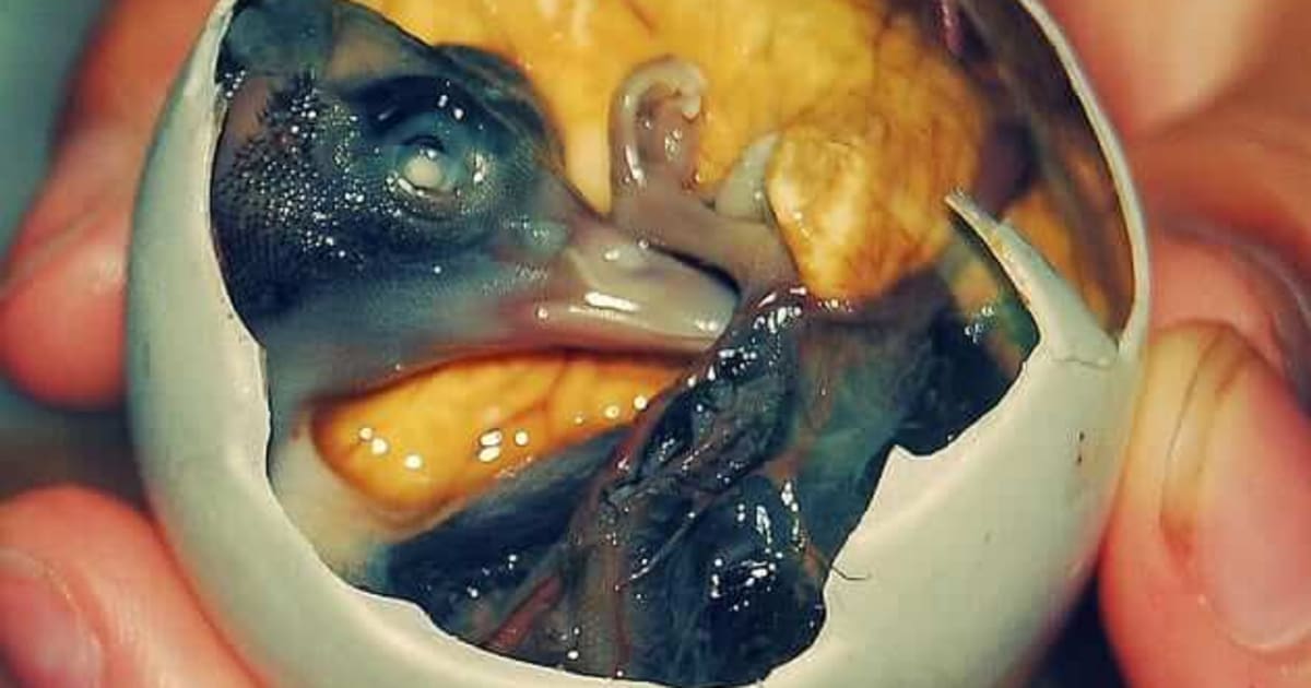 Balut | Eoin & Aisling's Ultimate Travel Bucketlist