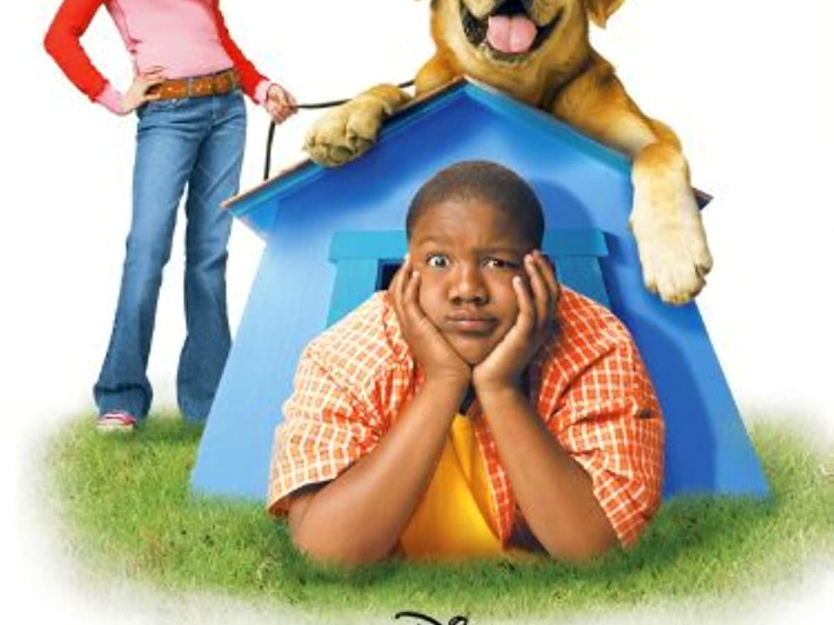 Life Is Ruff | The Complete List of Disney Dog Movies