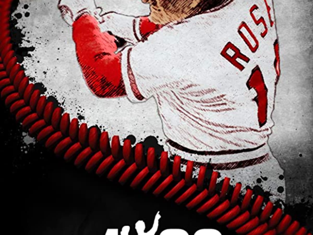 4192: Crowning of the Hit King | The Best Baseball Movies and Where to ...