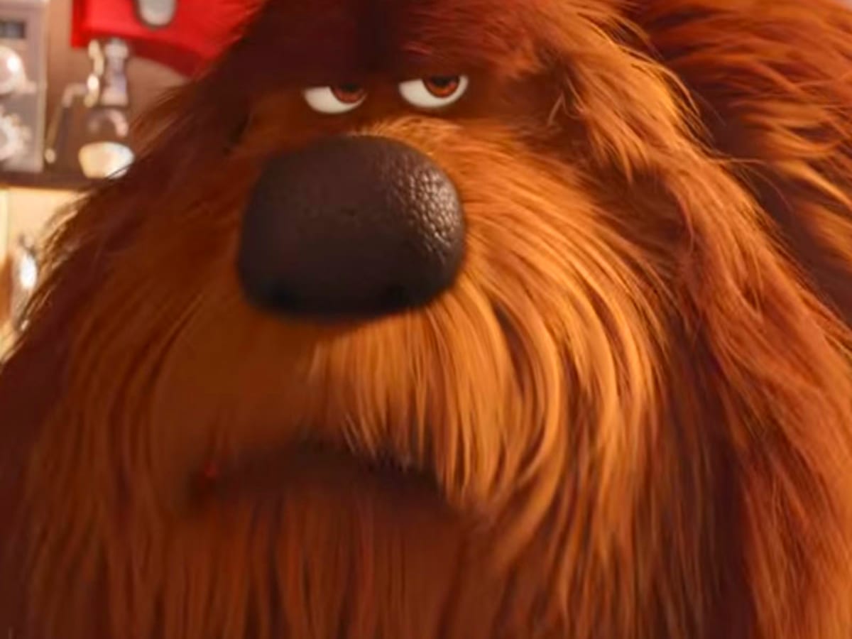 Duke | The Complete List of Secret Life of Pets Characters