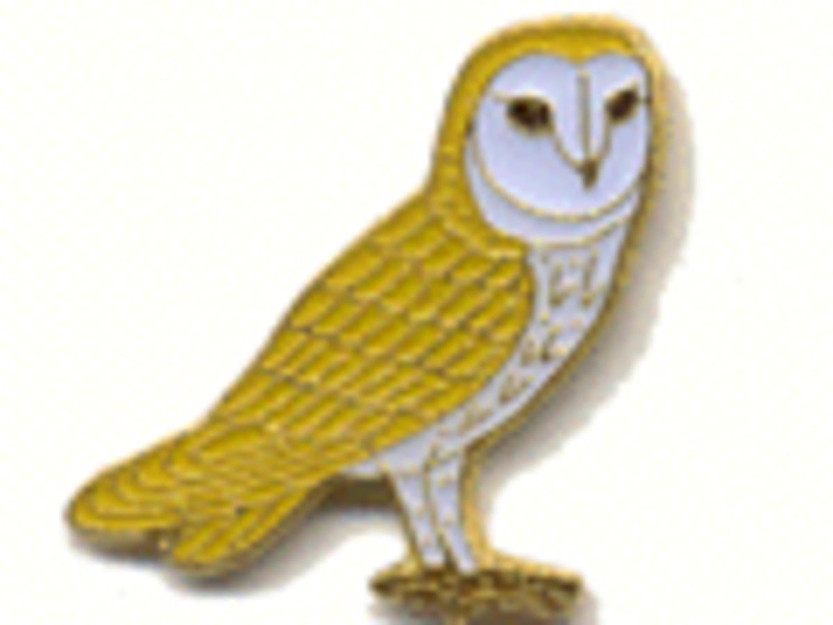 Barn Owl 1 | RSPB Badges