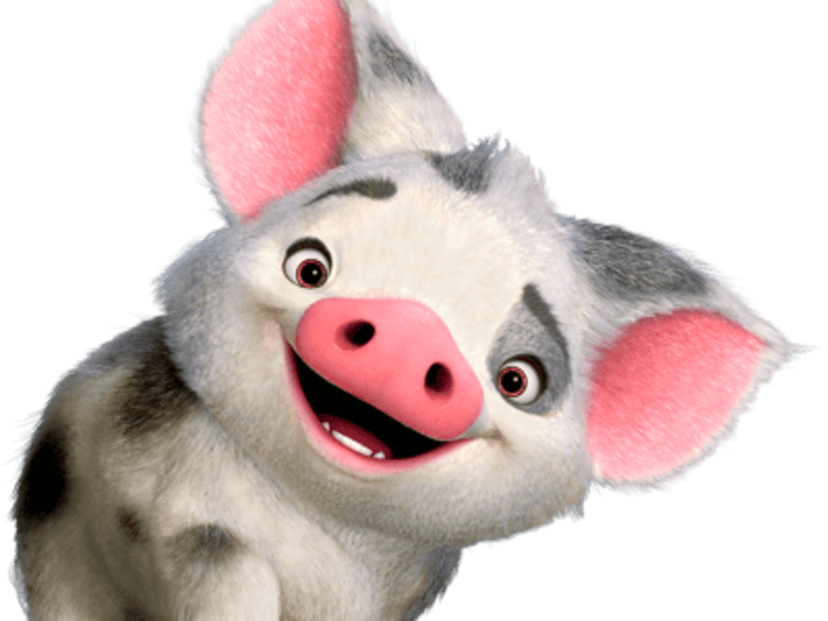 Pua (Moana) | The Complete List of Disney's Moana Characters