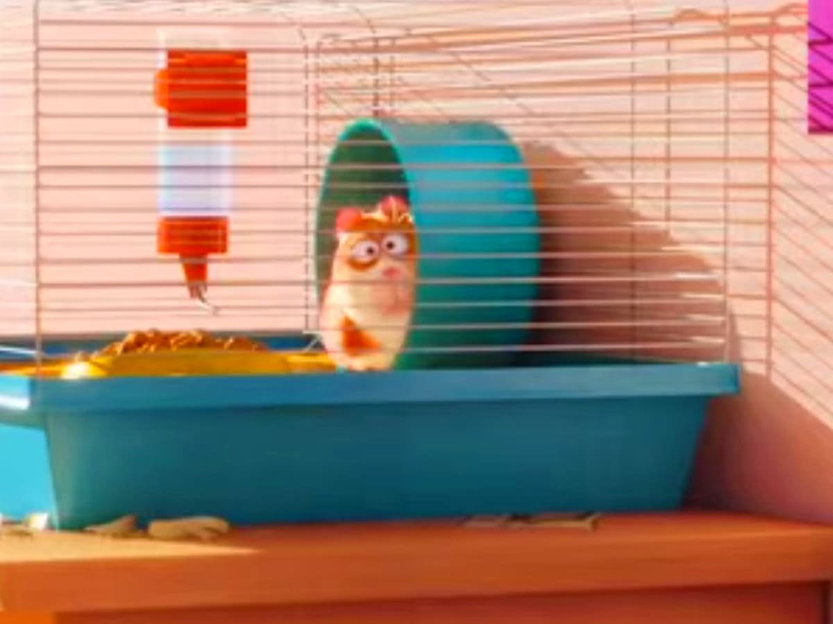 Runty | The Complete List of Secret Life of Pets Characters