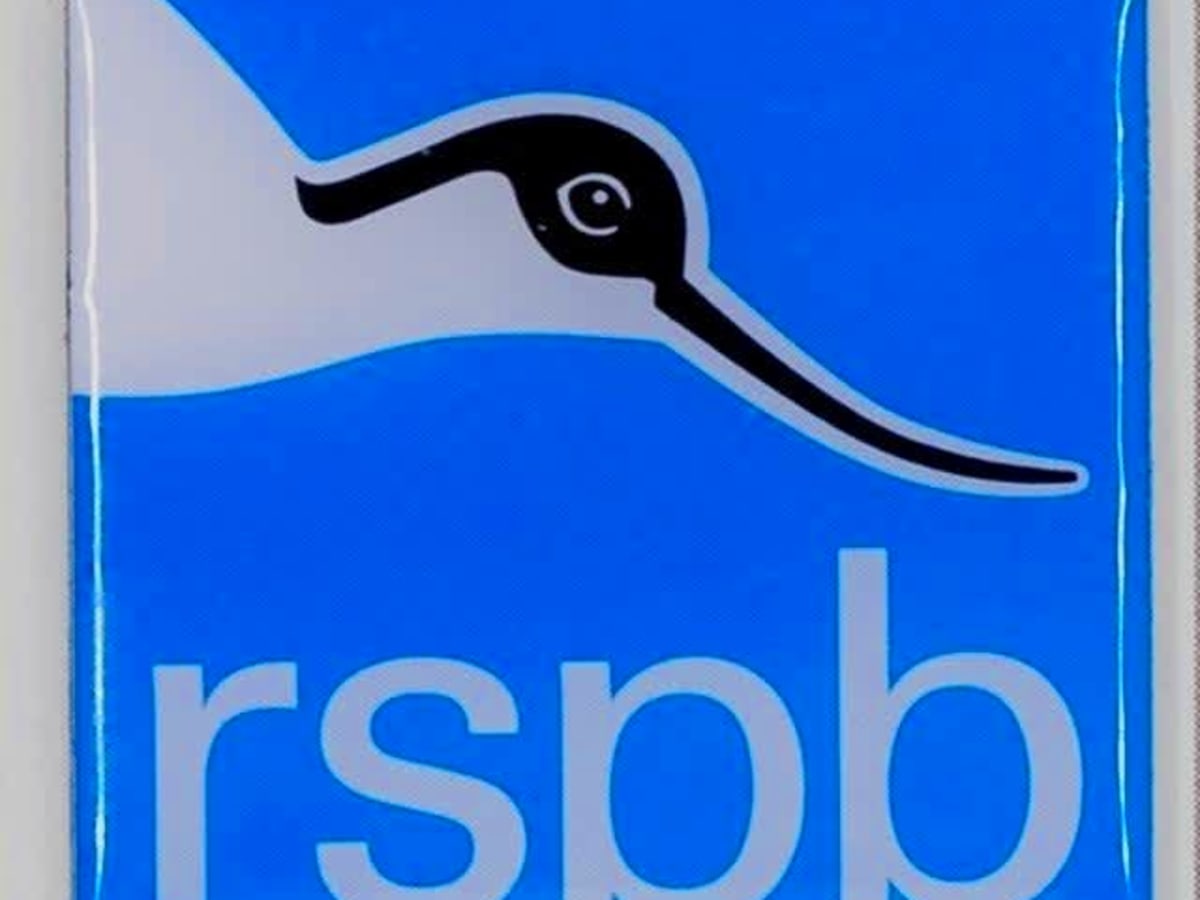 Guillemot - RSPB Badges by @brianc1 - Listium