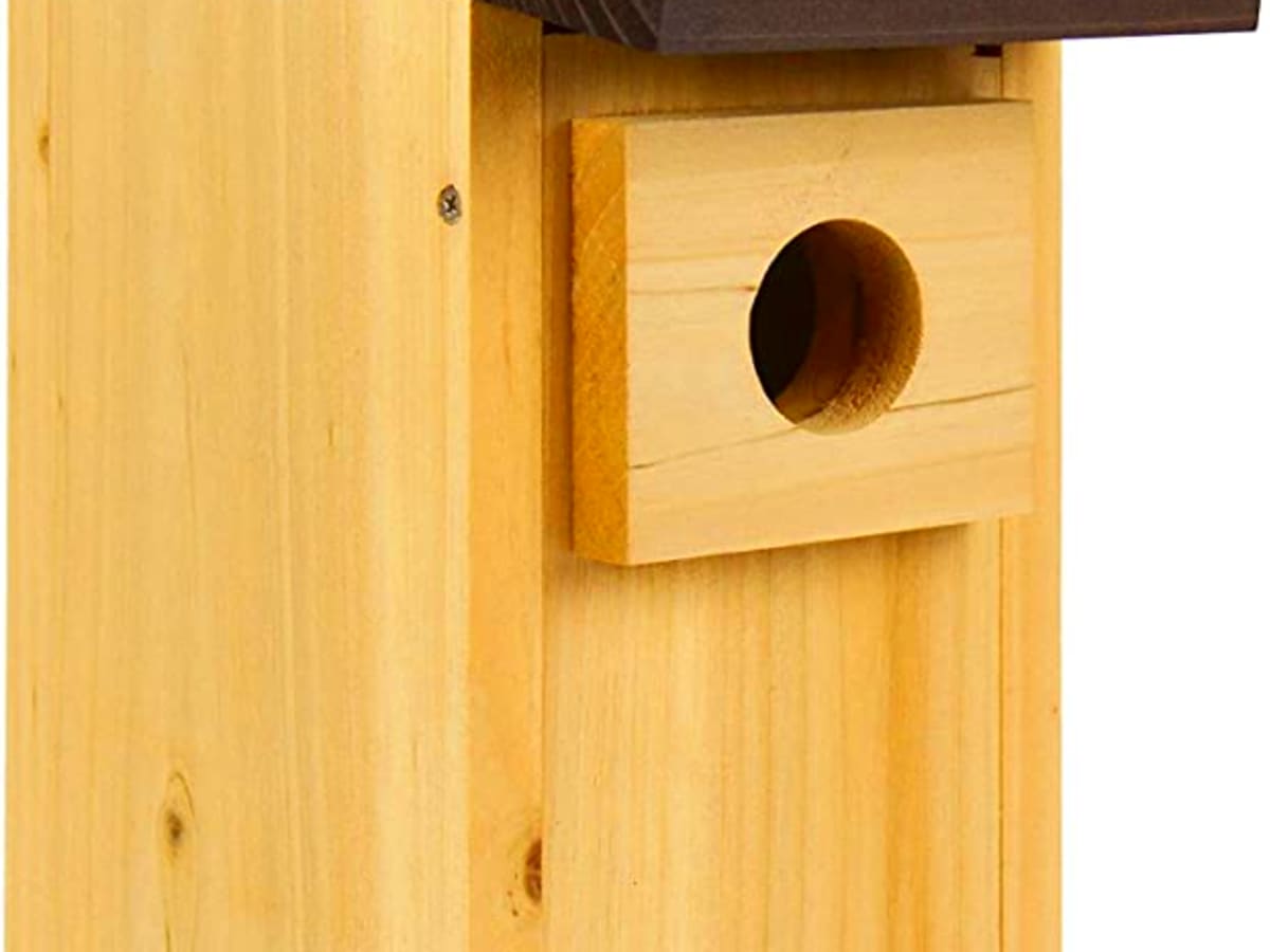 WWCH3 Cedar Blue Bird Box House | Best bird house kits
