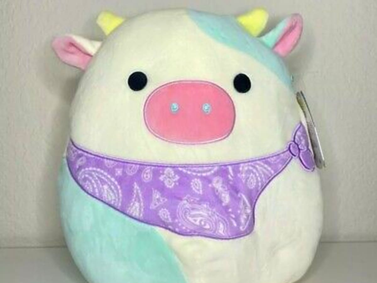 Belana (Purple Bandana) | The Ultimate Database of Squishmallow Cows Belana (Purple Bandana) | The Ultimate Database of Squishmallow Cows